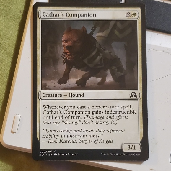 Other | Cathars Companion Magic Card | Poshmark